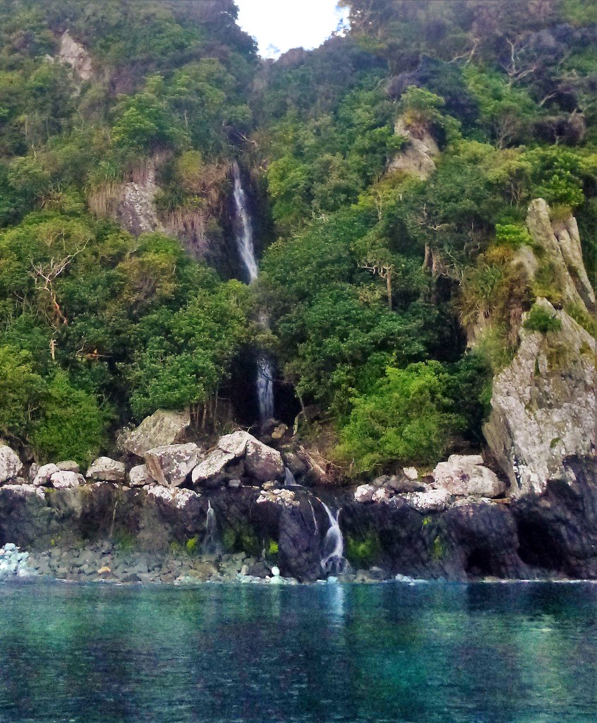 Te Mimi waterfall on Kapiti Island | Waikanae Watch