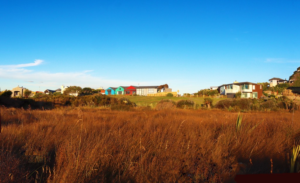 Queens Road south end houses seen from the Estuary | Waikanae Watch