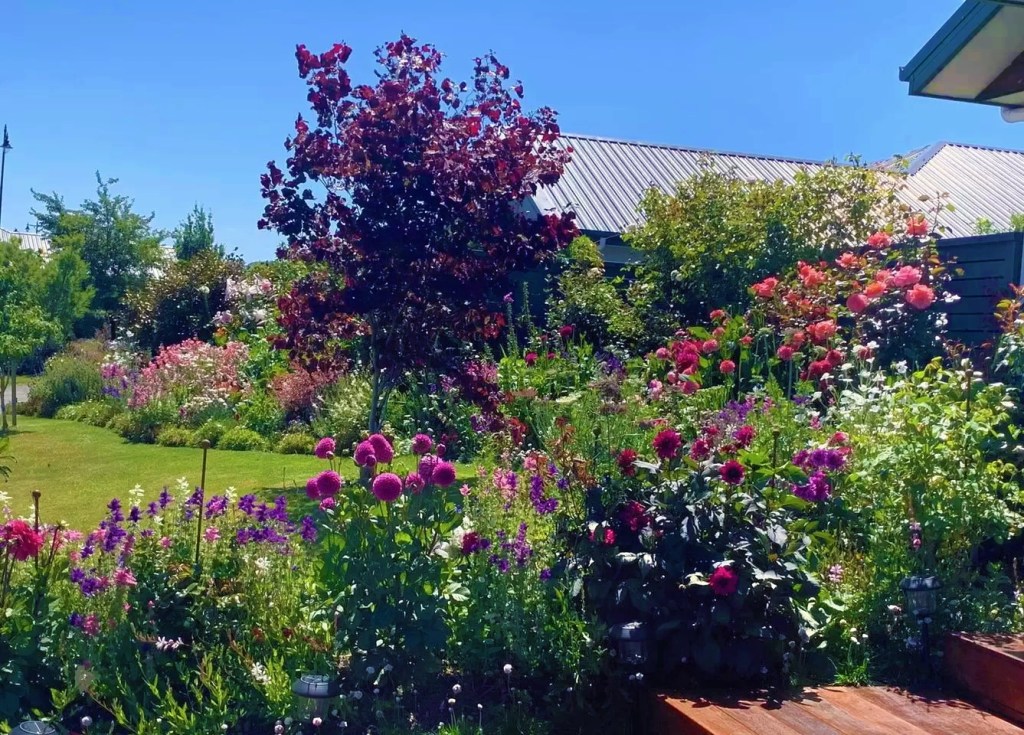 Waikanae flowery garden | Waikanae Watch