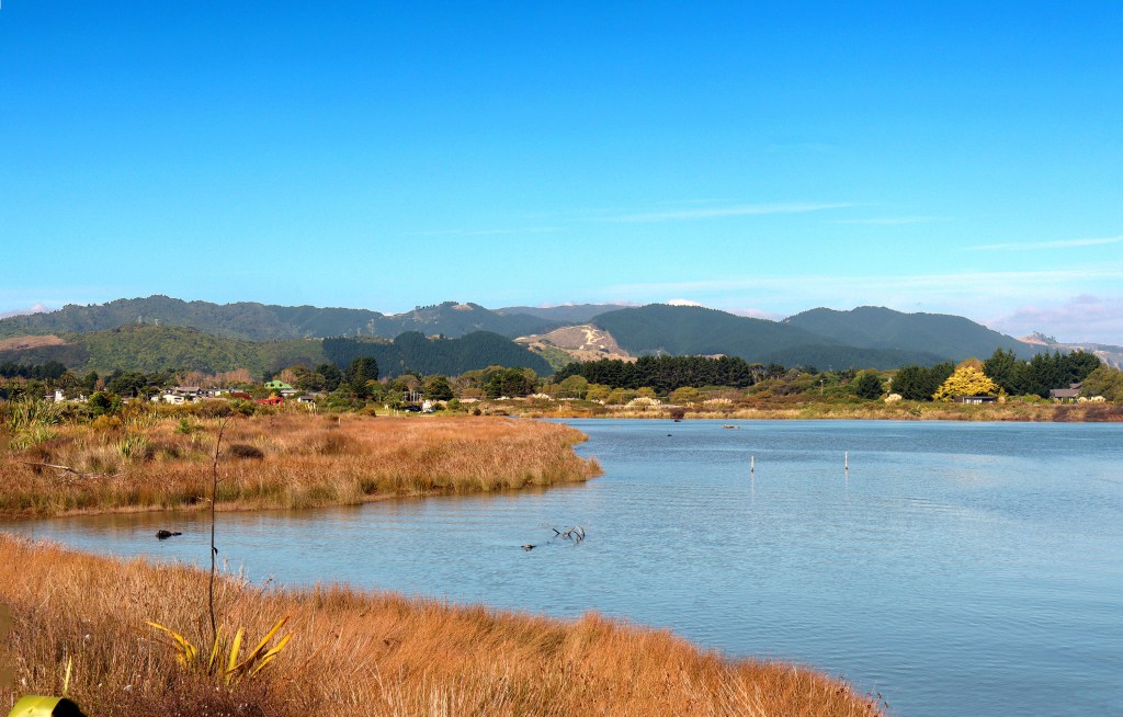 Waikanae Estuary morning view | Waikanae Watch