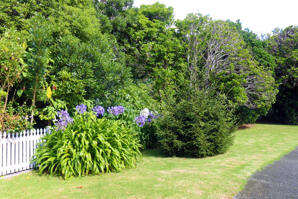 River Glade corner with Te Moana | Waikanae Watch