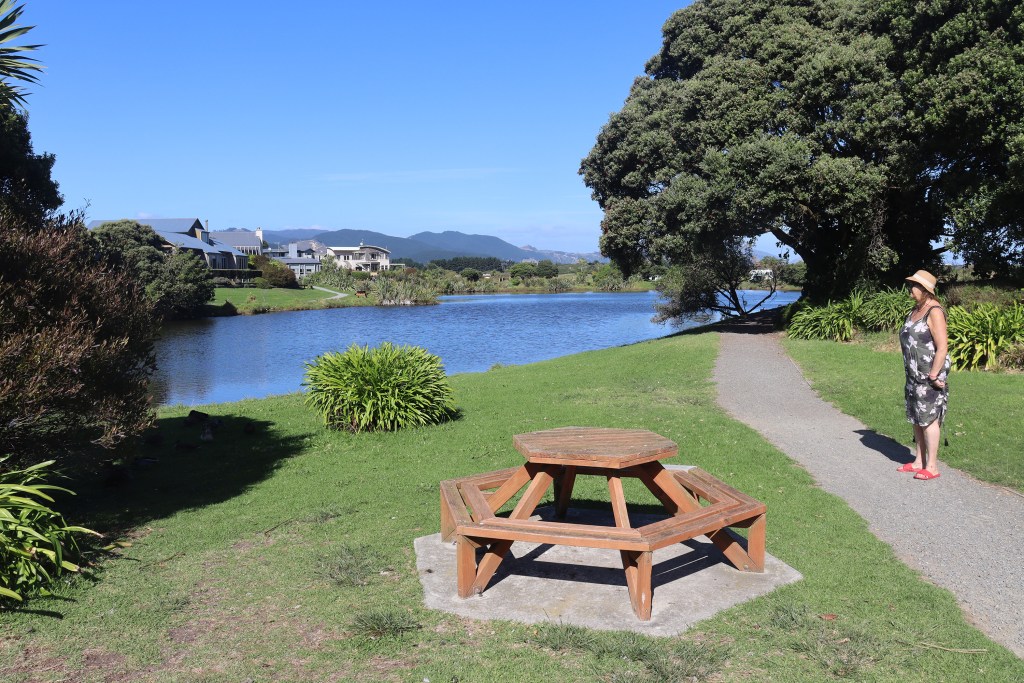 Waimanu south lagoon scene | Waikanae Watch