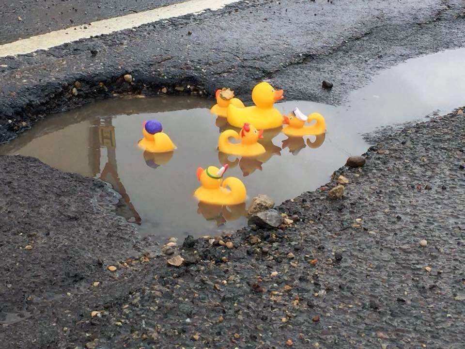 amusement: decorate your local NZTA pothole with rubber ducks ...