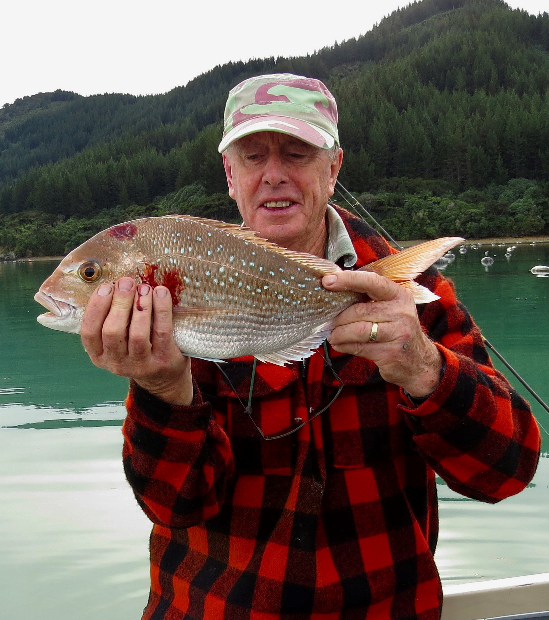 Shane Jones’s snapper farming proposal ‘full of fish hooks’? | Waikanae ...