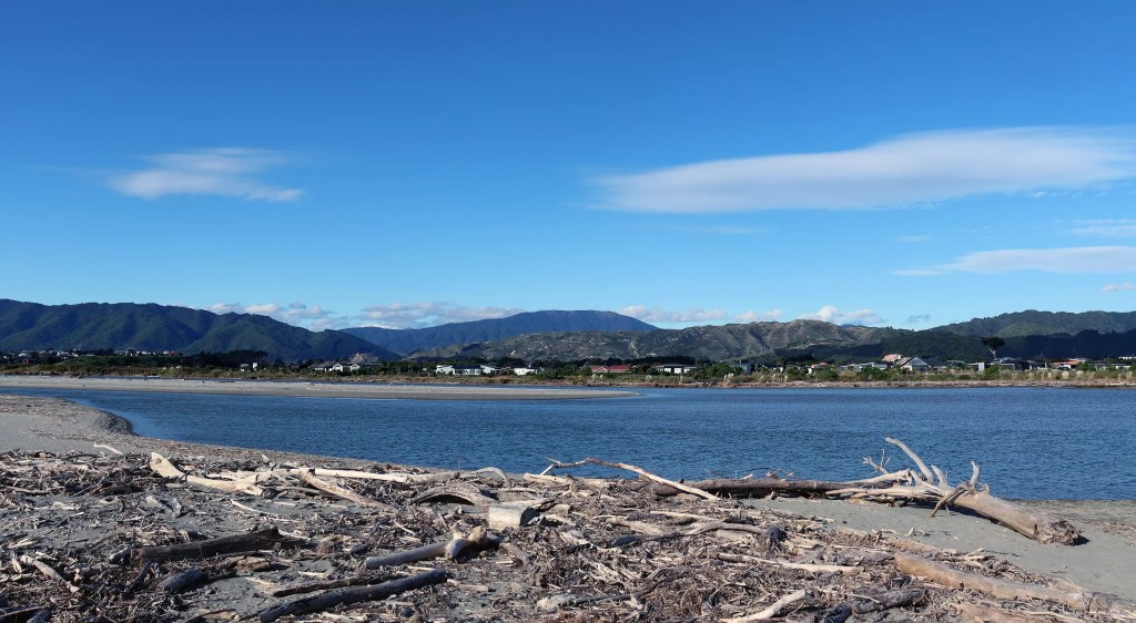 Waikanae Estuary backwater view | Waikanae Watch