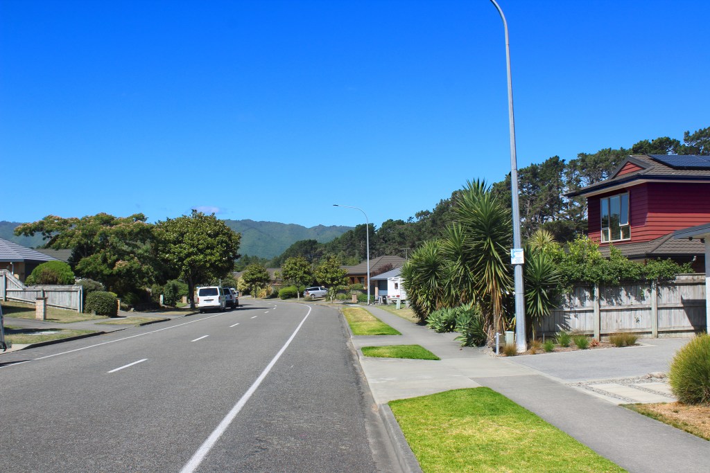 Weggery Drive view | Waikanae Watch