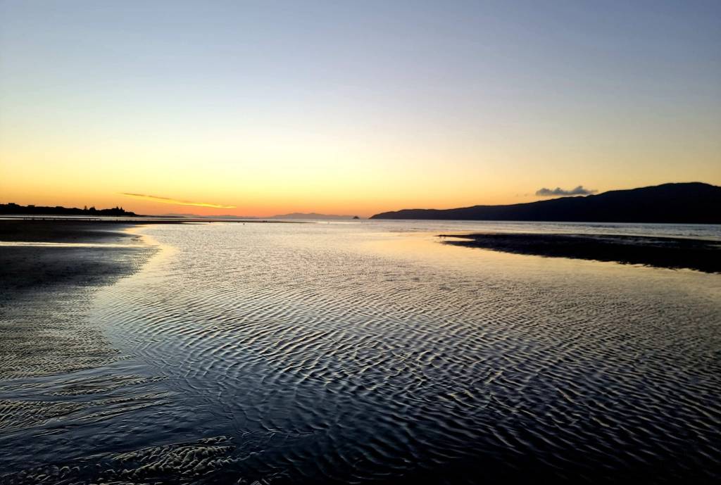 Waikanae Estuary at low tide | Waikanae Watch
