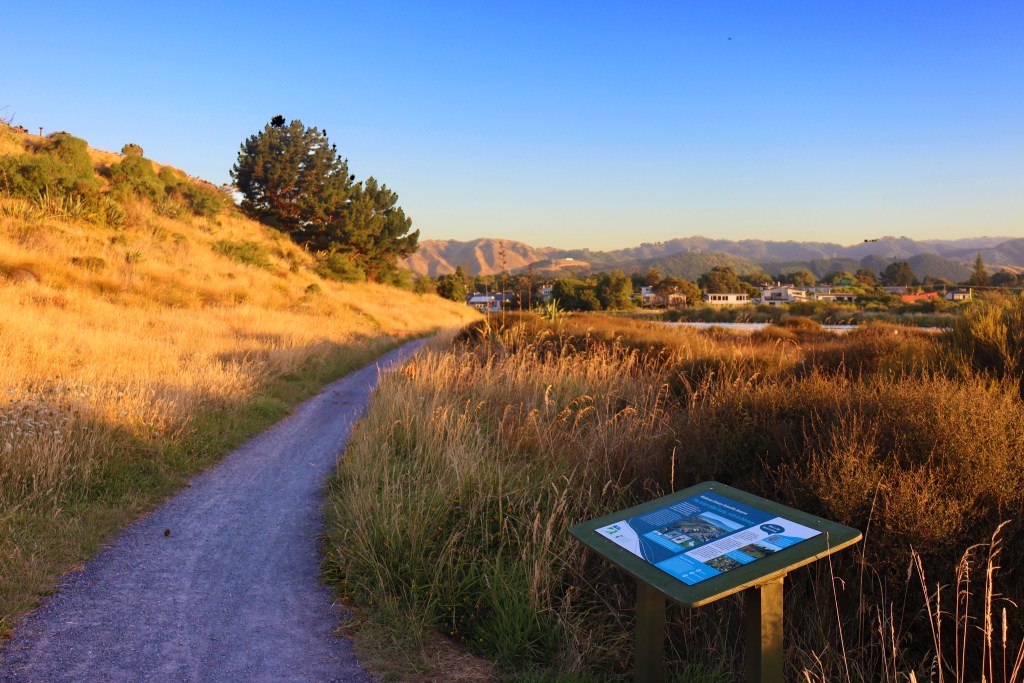 north bank Waikanae Estuary path | Waikanae Watch