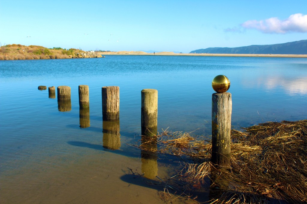 winter morning at the Estuary | Waikanae Watch