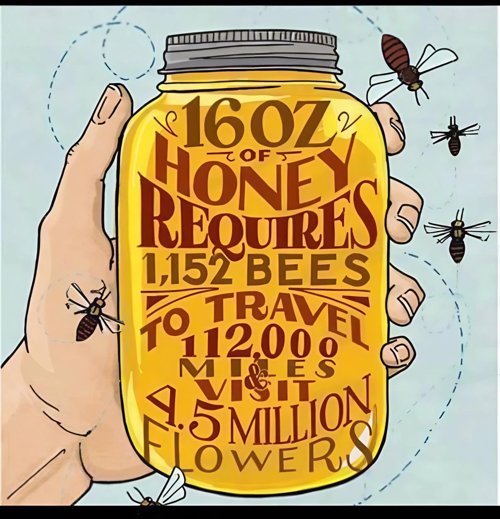 hard working honey bees | Waikanae Watch