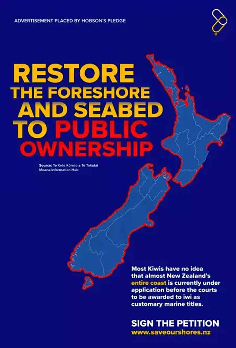 from Hobson’s Pledge | Waikanae Watch