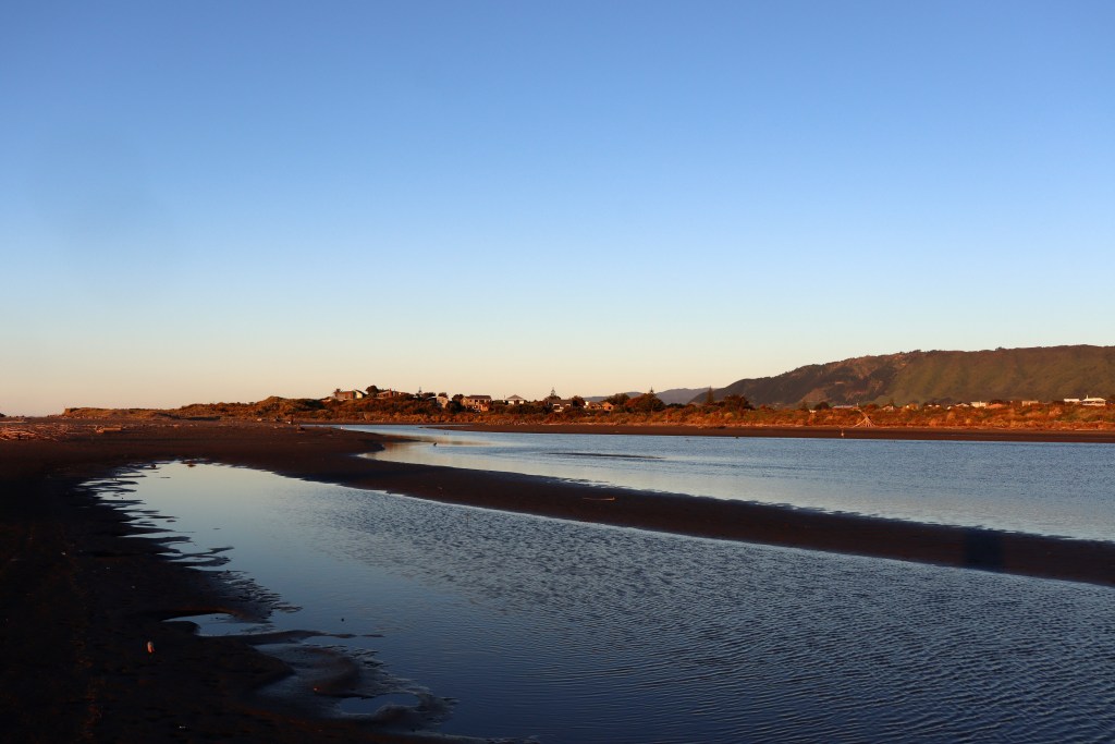 evening by the Estuary | Waikanae Watch