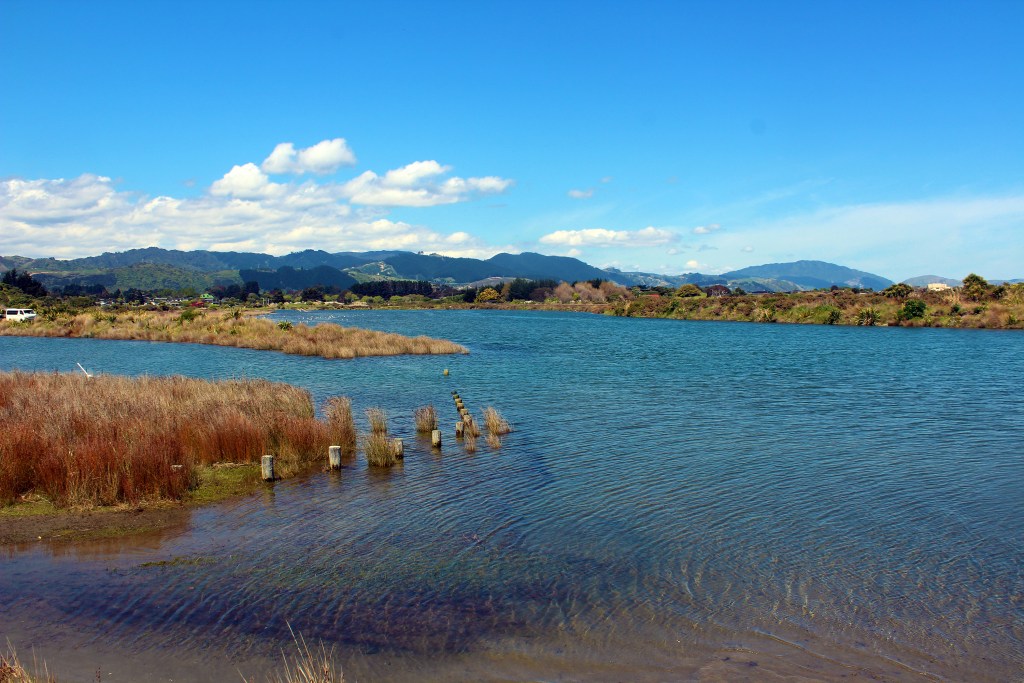 Waikanae River at high tide in the Estuary | Waikanae Watch