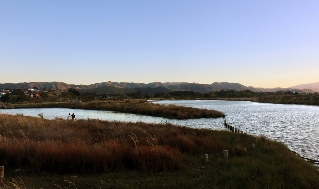 Waikanae Estuary scene just after sunset | Waikanae Watch