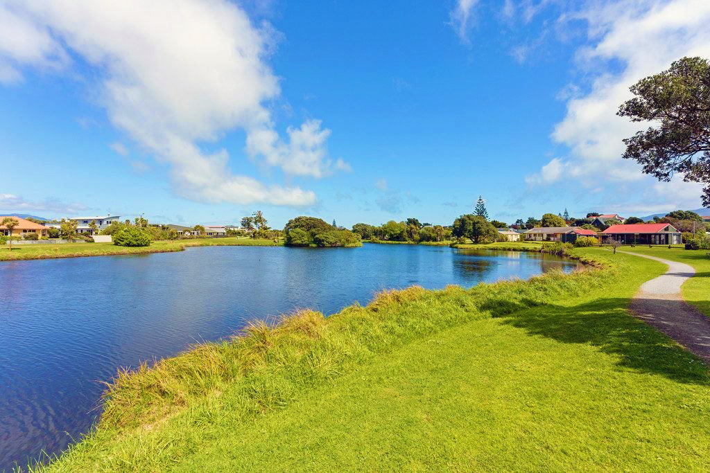 Waimanu north lagoon view | Waikanae Watch