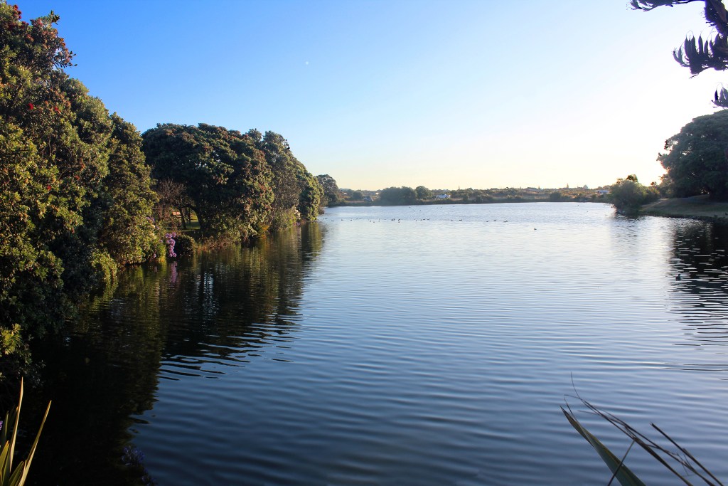 Waimanu south lagoon, afternoon | Waikanae Watch