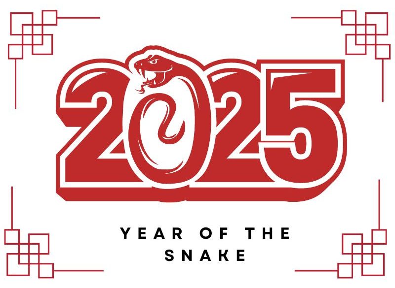 the Year of the Snake at Kapiti libraries(!) | Waikanae Watch