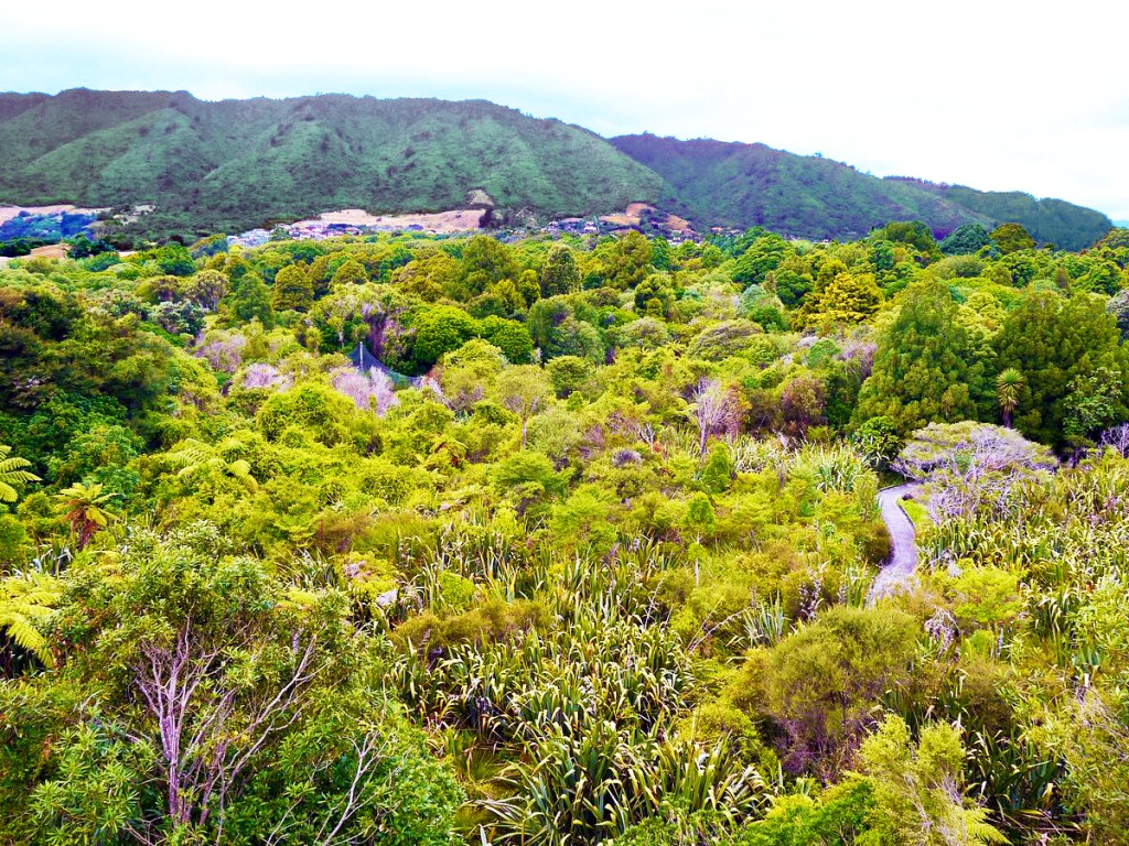 view from the Nga Manu Reserve lookout | Waikanae Watch
