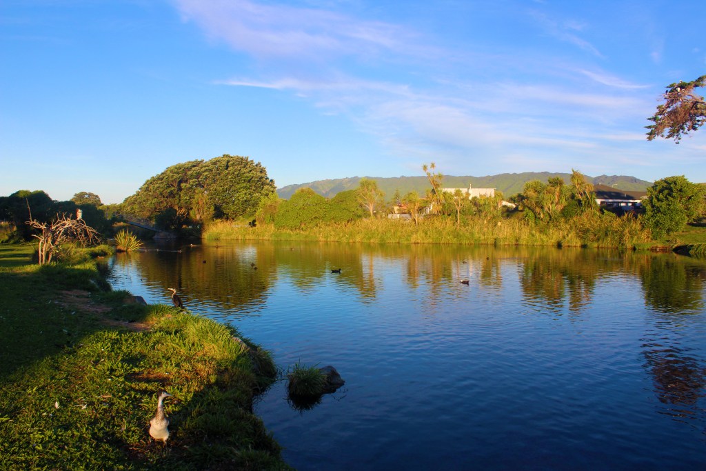Waimanu north lagoon pond evening | Waikanae Watch