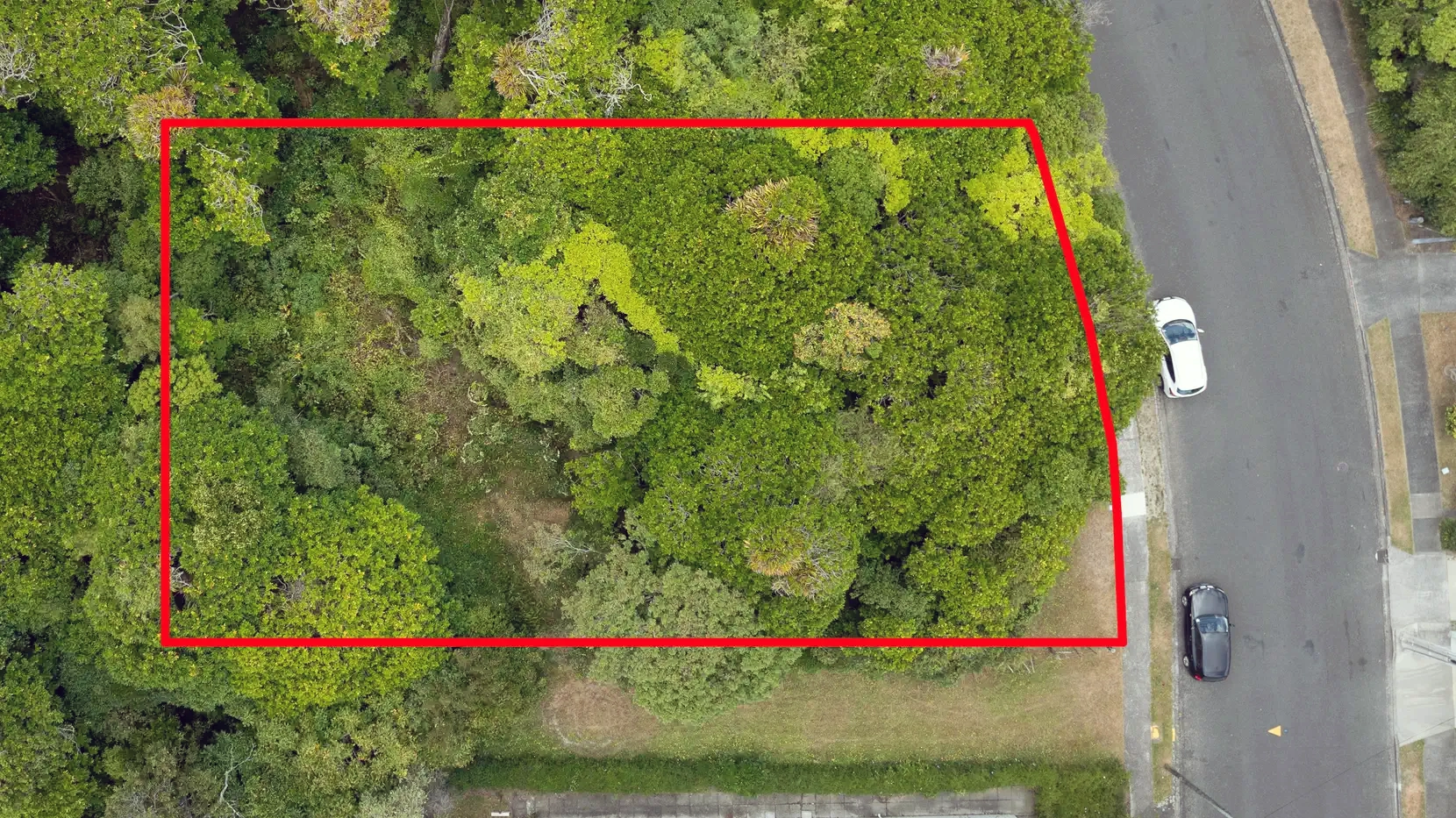 campaign to save 1029 m2 (a quarter acre) of Waikanae native bush from ...