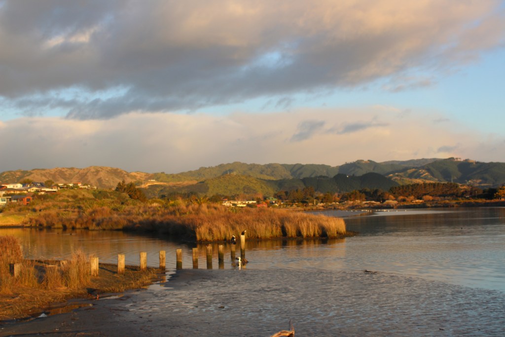 Waikanae Estuary sunset scene | Waikanae Watch