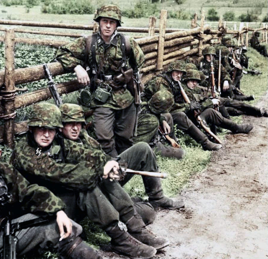 the German 4th Reich is getting aggressive | Waikanae Watch