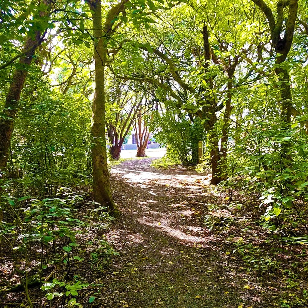 Wi Parata Reserve entrance, Rimu Street | Waikanae Watch