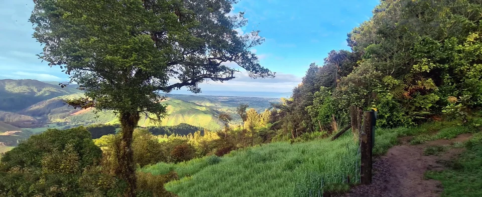 The sun sets on the First New Zealanders: the new ‘revised’ history of ...