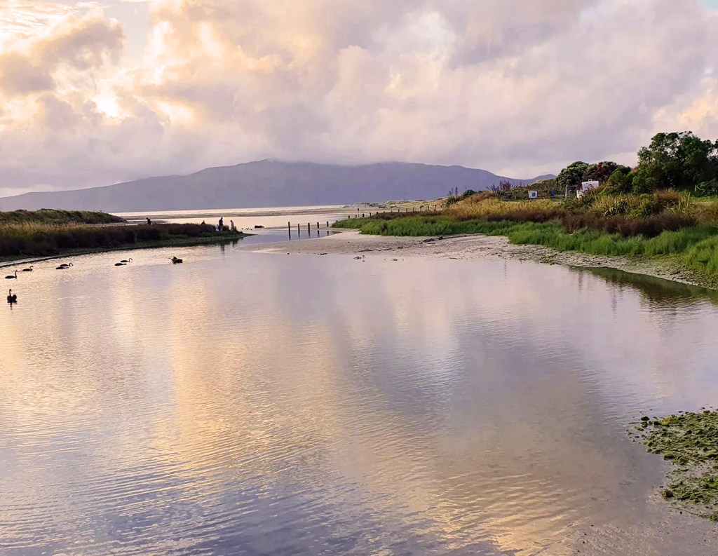 Estuary, late summer afternoon | Waikanae Watch